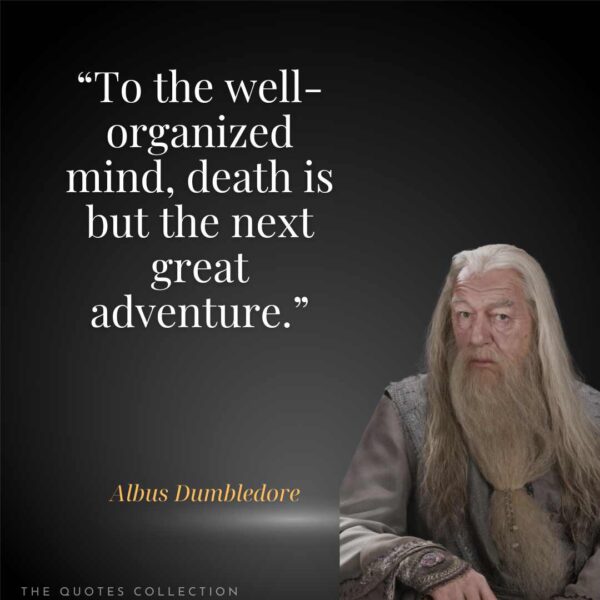 55 Powerful Albus Dumbledore Quotes from Harry Potter - The Quotes ...