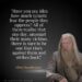 55 Powerful Albus Dumbledore Quotes from Harry Potter - The Quotes ...