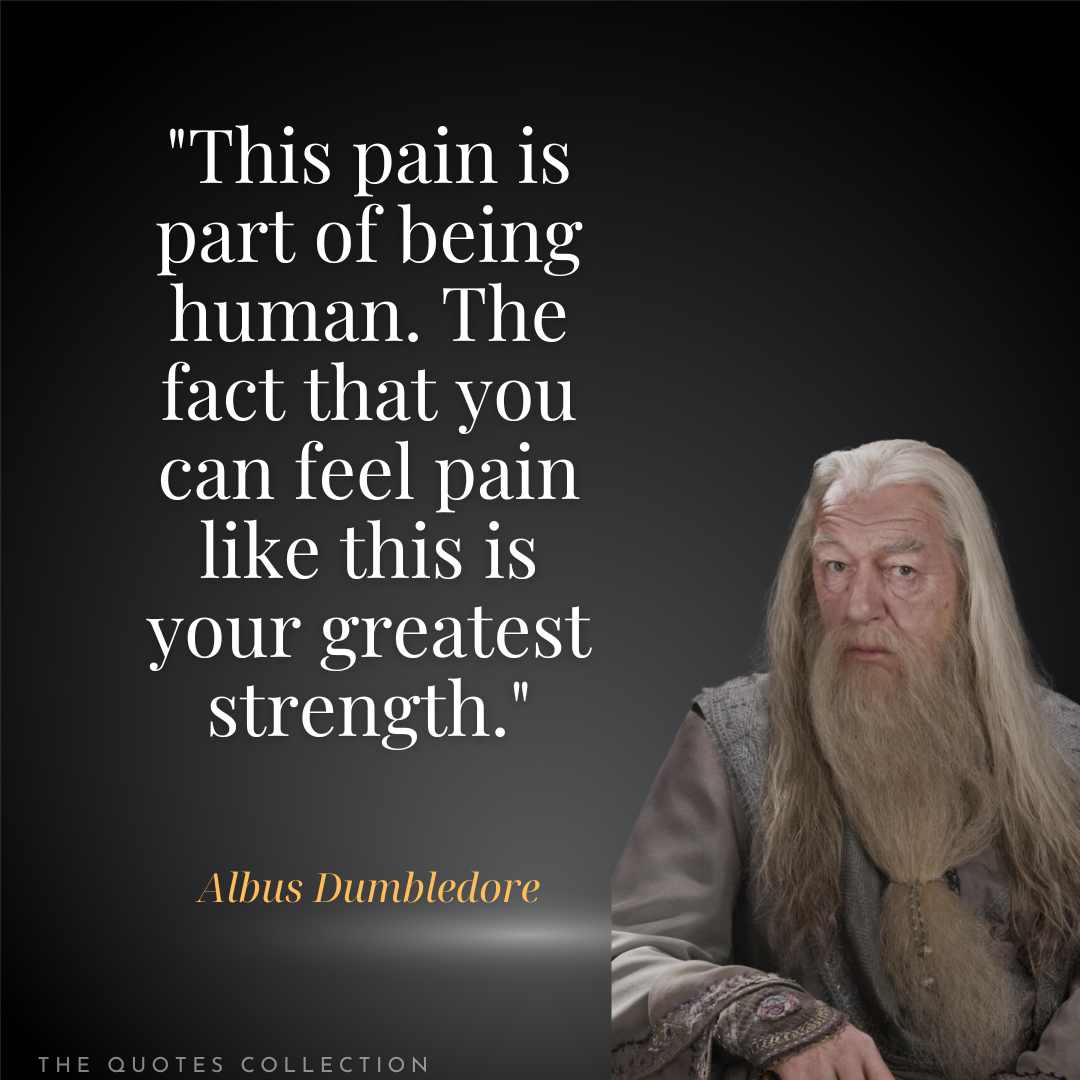 55 Powerful Albus Dumbledore Quotes from Harry Potter - The Quotes ...
