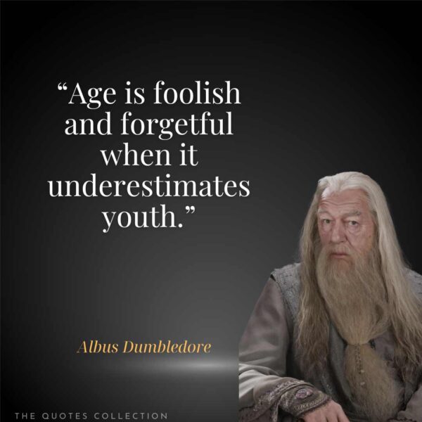 55 Powerful Albus Dumbledore Quotes from Harry Potter - The Quotes ...