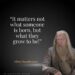 55 Powerful Albus Dumbledore Quotes from Harry Potter - The Quotes ...