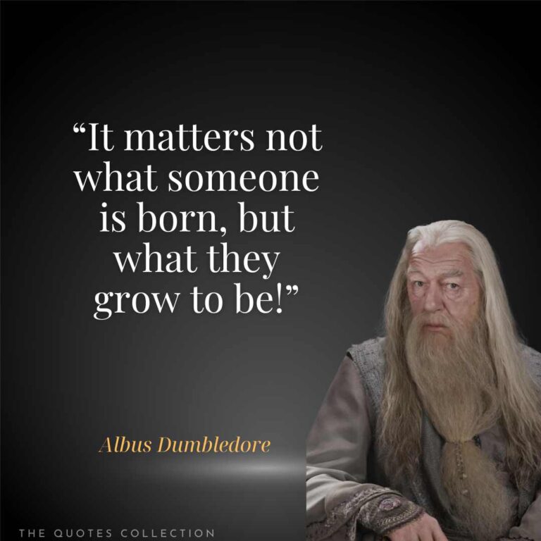 55 Powerful Albus Dumbledore Quotes from Harry Potter - The Quotes ...